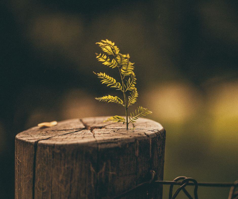 Mastering Resilience: Strategies for Overcoming Setbacks Effectively ...